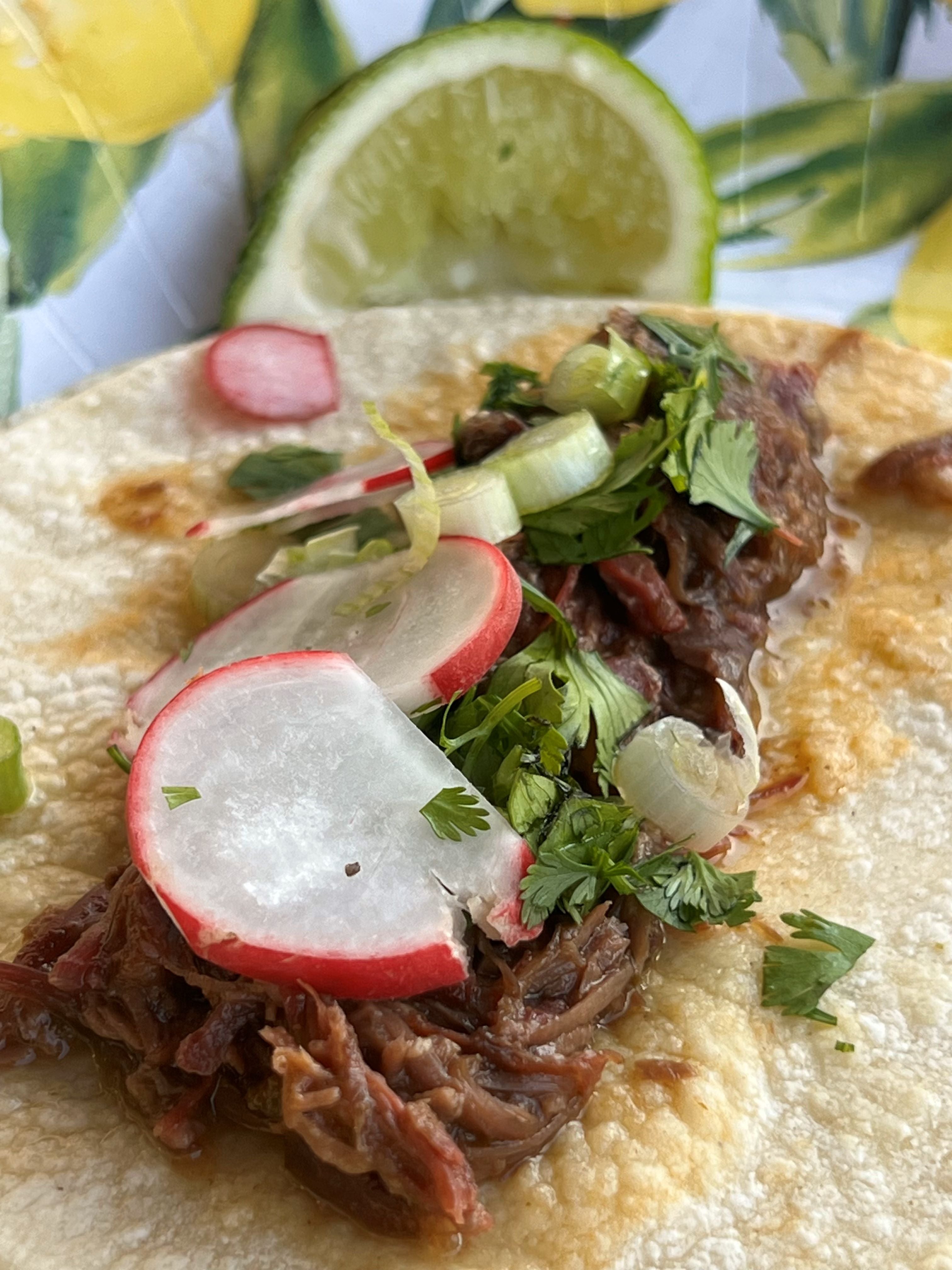 BEARbacoa – Initial Ascent